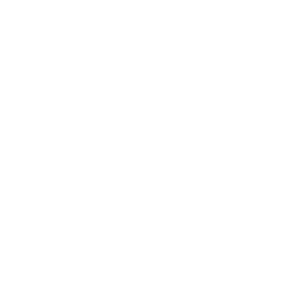 Penguin Success